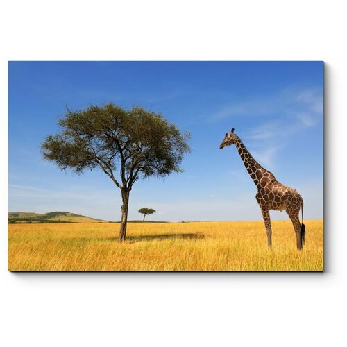 Модульная картина Одинокий африканский жираф 30x20