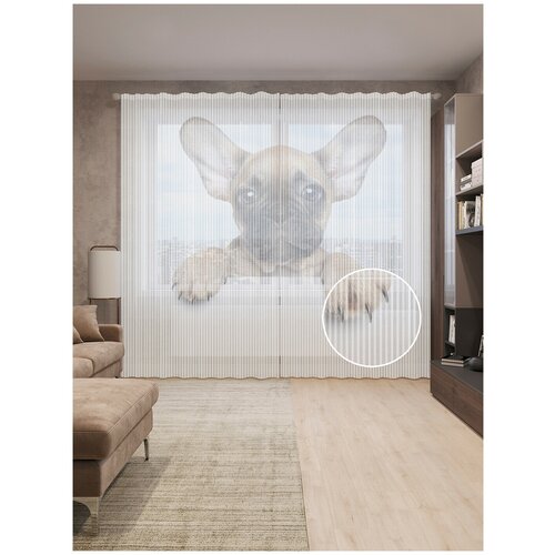 Тюль вуаль на шторной ленте с принтом "Ушастый щенок" для гостиной, зала, кухни, спальни, детской, 310х265 см; Коричневый, черный, серый
