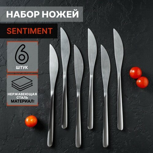 Набор ножей столовых Sentiment, 6 шт