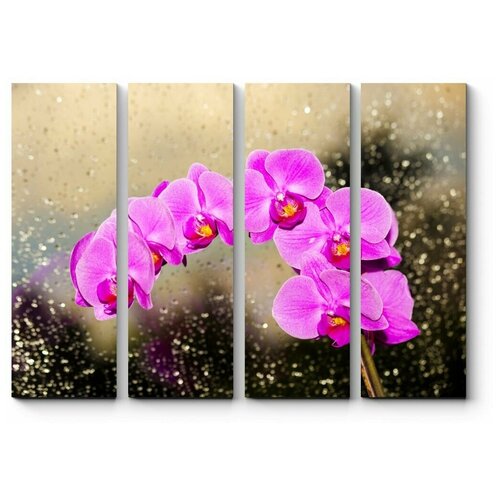 Модульная картина Роскошная орхидея 160x120