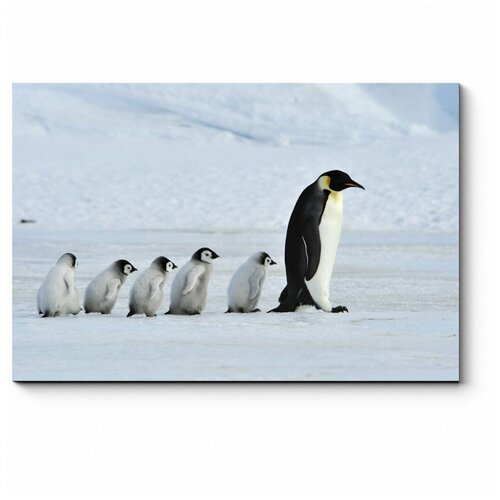 Модульная картина Семейство пингвинов на прогулке 70x47