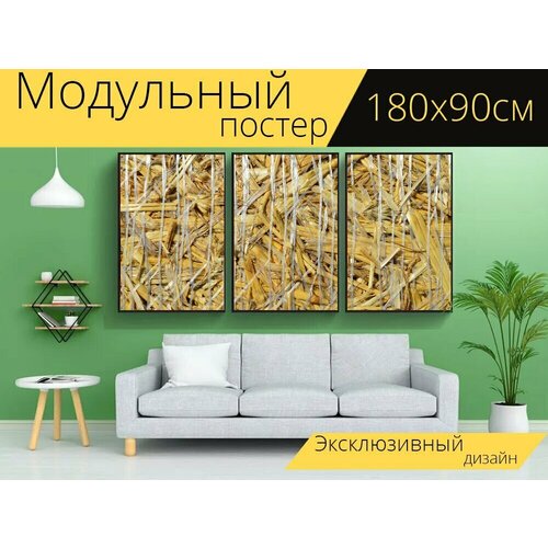 Модульный постер "Пшеница, сельское хозяйство, солома" 180 x 90 см. для интерьера