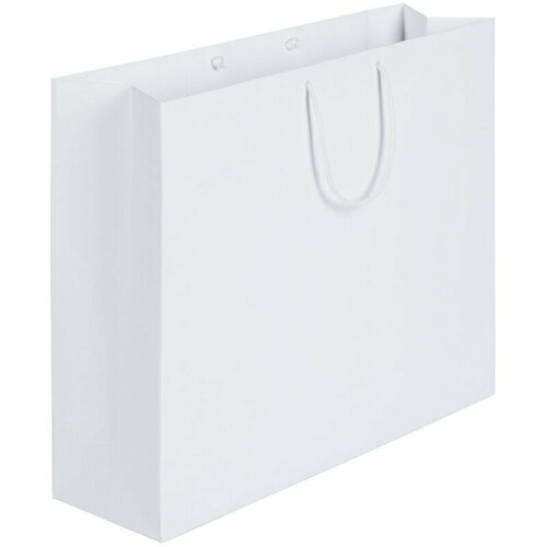 Пакет подарочный бумажный Ample L белый 35х43х12 см, 1660592