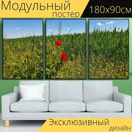 Модульный постер "Цветок, трава, небо" 180 x 90 см. для интерьера
