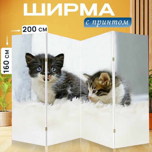 Ширма перегородка с принтом "Кошки, котята, домашние питомцы" на холсте - 200x160 см. для зонирования, раскладная