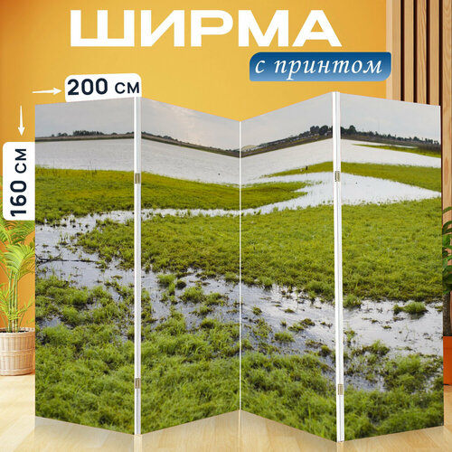 Ширма перегородка с принтом "Озеро, трава, дерево" на холсте - 200x160 см. для зонирования, раскладная