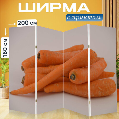 Ширма перегородка с принтом "Морковь, овощи, органический" на холсте - 200x160 см. для зонирования, раскладная