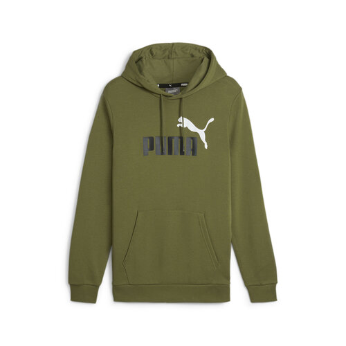 Толстовка спортивная PUMA Essentials+ Two-Tone Big Logo Men's Hoodie, размер S, зеленый