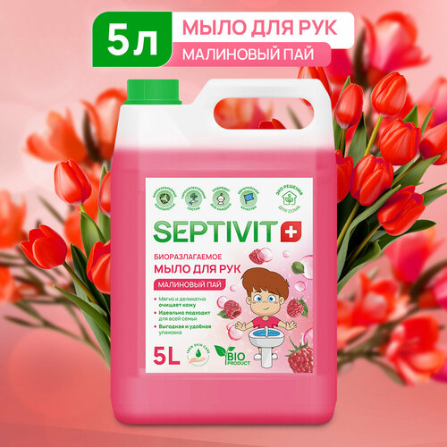 SEPTIVIT Premium Жидкое мыло для рук "Малиновый пай " 5л