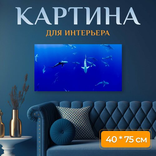 Картина на холсте "Акулы, аквариум, рыбы" на подрамнике 75х40 см. для интерьера