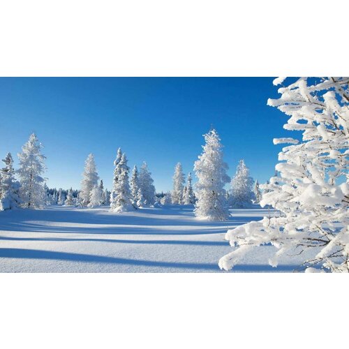 Картина на холсте 60x110 LinxOne "Зимний лес сугробы снег елки" интерьерная для дома / на стену / на кухню / с подрамником