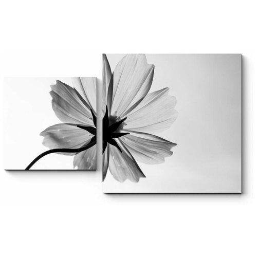 Модульная картина Монохромный цветок 110x66