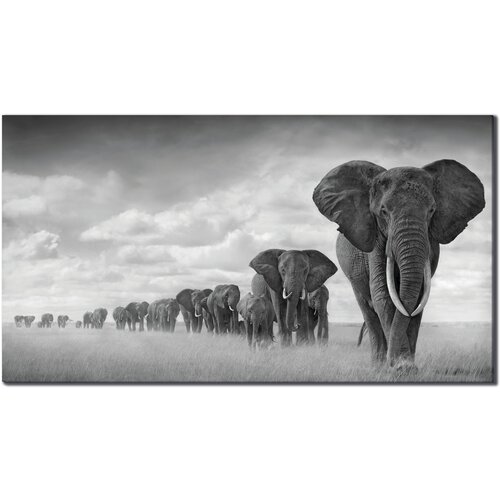 Картина для интерьера на холсте, "Слоны чёрно-белые" 65х120, холст без подрамника