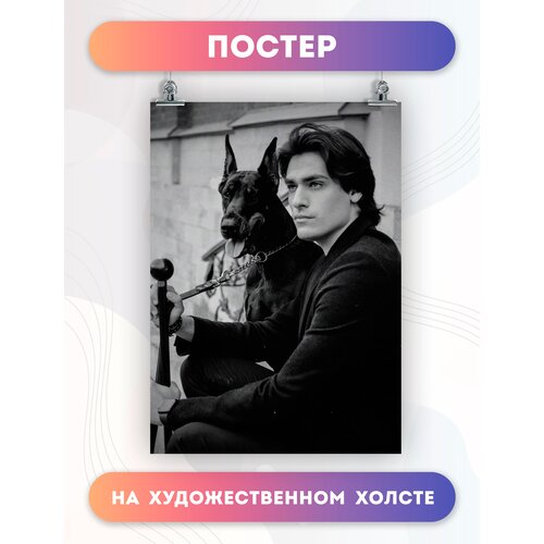 Постер на холсте Олег Шепс Битва экстрасенсов (16) 40х60 см