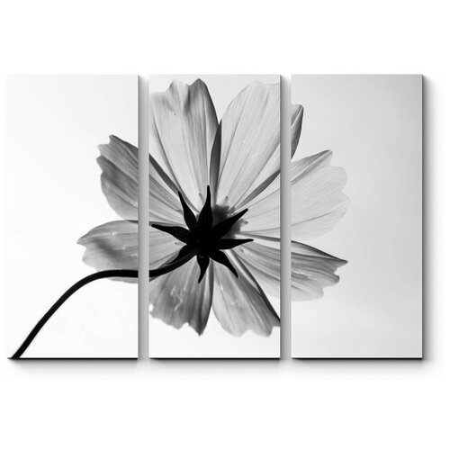 Модульная картина Монохромный цветок 80x57