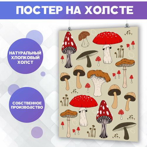 Постер виды грибов (1) 30х40 см