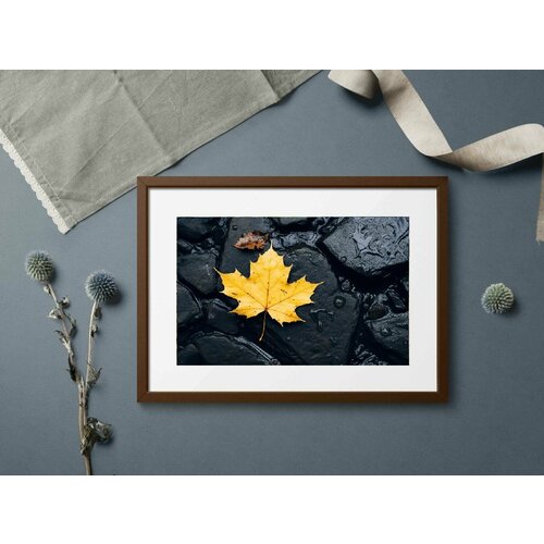 Постер "Желтый кленовый листок на фоне черных камней" Cool Eshe из коллекции "Природа", плакат А4 (29,7 х 21 см)