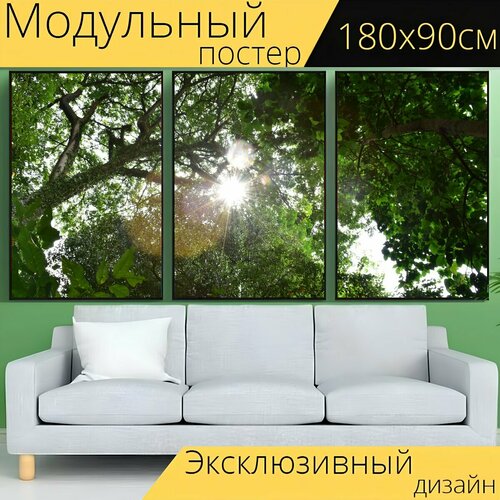 Модульный постер "Природа, дерево, солнечный свет" 180 x 90 см. для интерьера