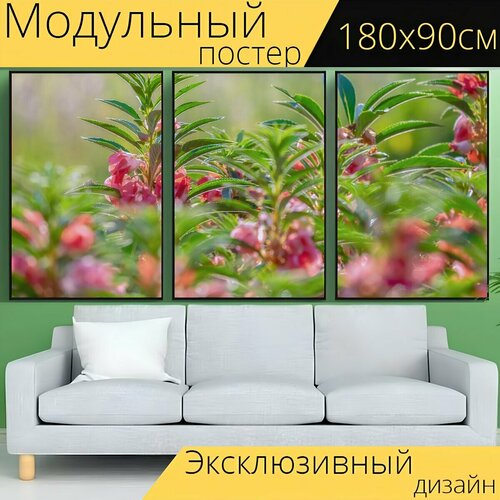 Модульный постер "Бальзам, декоративное растение, цветок" 180 x 90 см. для интерьера