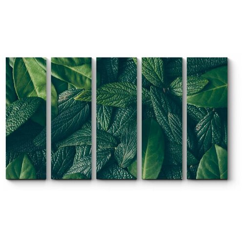 Модульная картина Зеленые сочные листья140x84