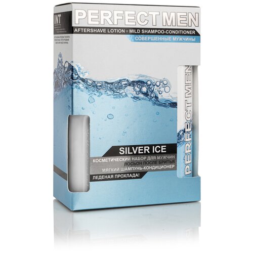 Парфюмерия XXI века Мужской Perfect Men Silver Ice Набор: лосьон после бритья 100мл, шампунь 250мл