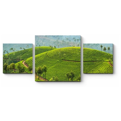 Модульная картина Красота зеленых полей 180x77