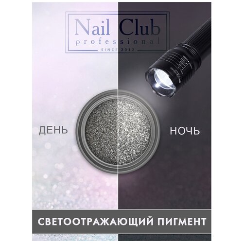 Nail Club professional Светоотражающий пигмент для ногтей Reflex Graphite, 1 шт.