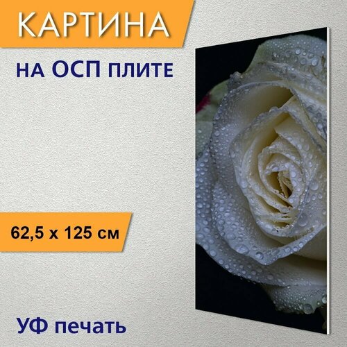 Вертикальная картина на ОСП "Роза, цветок, капли" 62x125 см. для интерьериа