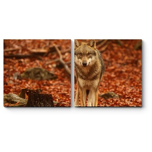 Модульная картина Волк в осеннем лесу 40x20
