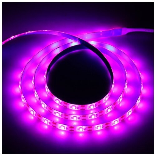 Фитолента светодиодная Luazon, 5 В, SMD5050, 2 м, IP20, 10.3 Вт, 60 LED/м, дим, USB