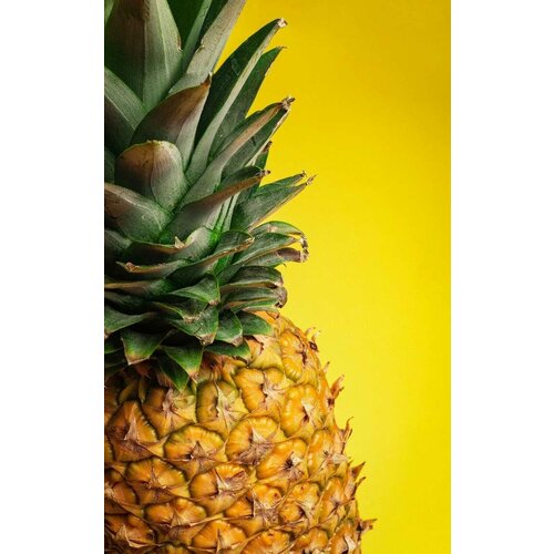 Картина на холсте 60x110 LinxOne "Ананас, фрукт, тропический" интерьерная для дома / на стену / на кухню / с подрамником