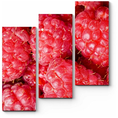 Модульная картина Крупные ягоды малины 110x117