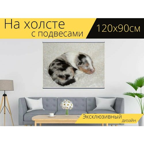 Картина на холсте "Собака, щенок спал, щенок шелти" с подвесами 120х90 см. для интерьера