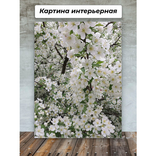 Картины для интерьера 50х70 Сирень весна цветение