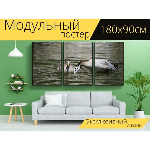 Модульный постер "Гуси, бархатные гуси, птицы" 180 x 90 см. для интерьера