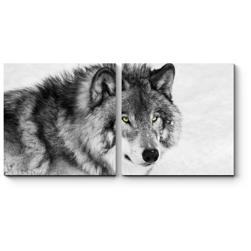 Модульная картина Черно-белый портрет волка160x80