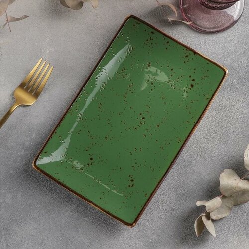 Блюдо керамическое прямоугольное КНР "Созвездие", 22х14 см, зеленый