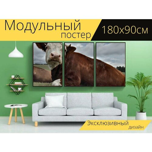 Модульный постер "Сельскохозяйственное животное, говядина, коровы" 180 x 90 см. для интерьера