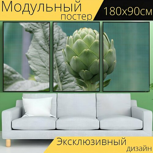 Модульный постер "Артишок, овощ, есть" 180 x 90 см. для интерьера