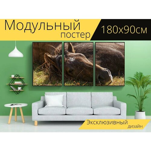 Модульный постер "Лошадь, лежа, трава" 180 x 90 см. для интерьера
