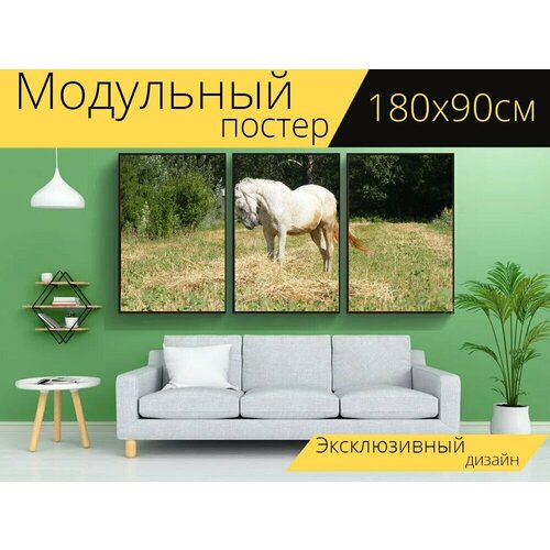 Модульный постер "Лошадь, животные, жеребец" 180 x 90 см. для интерьера