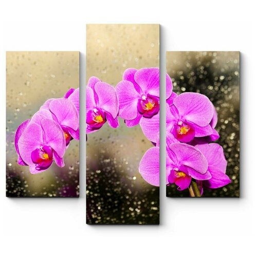 Модульная картина Роскошная орхидея 60x54