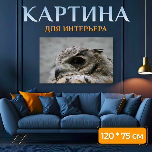 Картина на холсте "Птица, сова, хищные птицы" на подрамнике 120х75 см. для интерьера