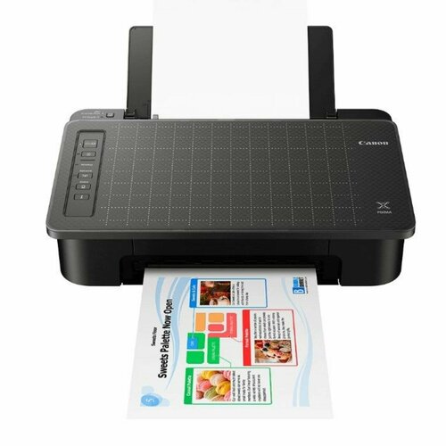 Принтер струйный Canon PIXMA TS305