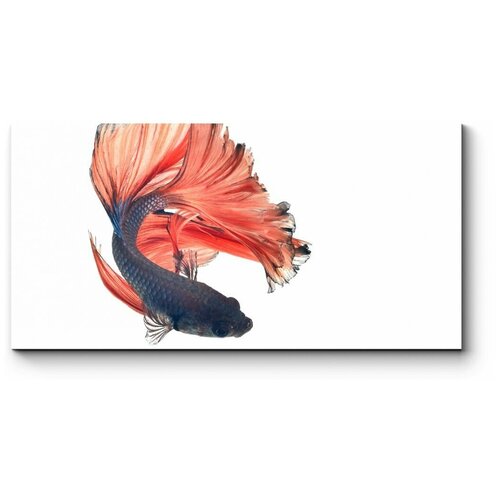 Модульная картина Роскошная рыба 50x25