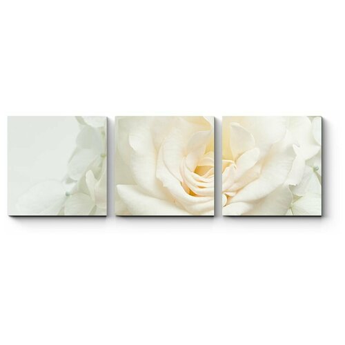 Модульная картина Белоснежная роза 150x50