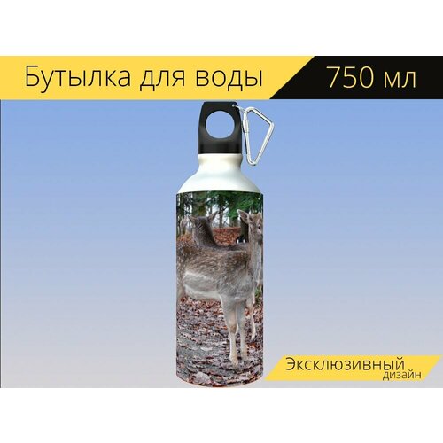 Бутылка фляга для воды "Олень, олени, детеныш" 750 мл. с карабином и принтом