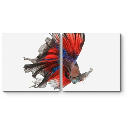 Модульная картина Летающая рыба 60x30