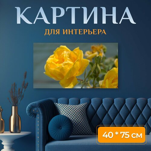 Картина на холсте "Розы, желтый, сад" на подрамнике 75х40 см. для интерьера