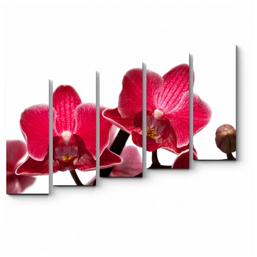Модульная картина Магия орхидей 180x126